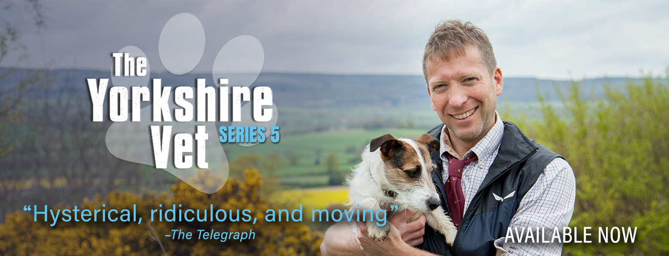 Acorn TV | The Best British TV Streaming Online, On-Demand, Commercial ...